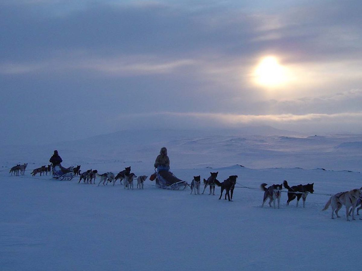 Husky Safari nella Lapponia Norvegese | Viaggi in Norvegia