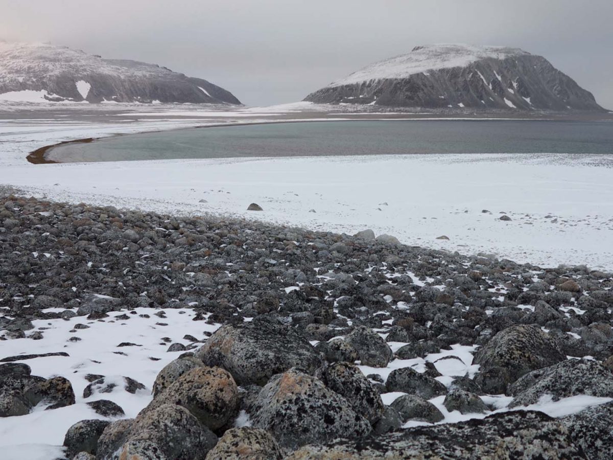 Spedizione Naturalistica alle isole Svalbard | The Wilderness Society